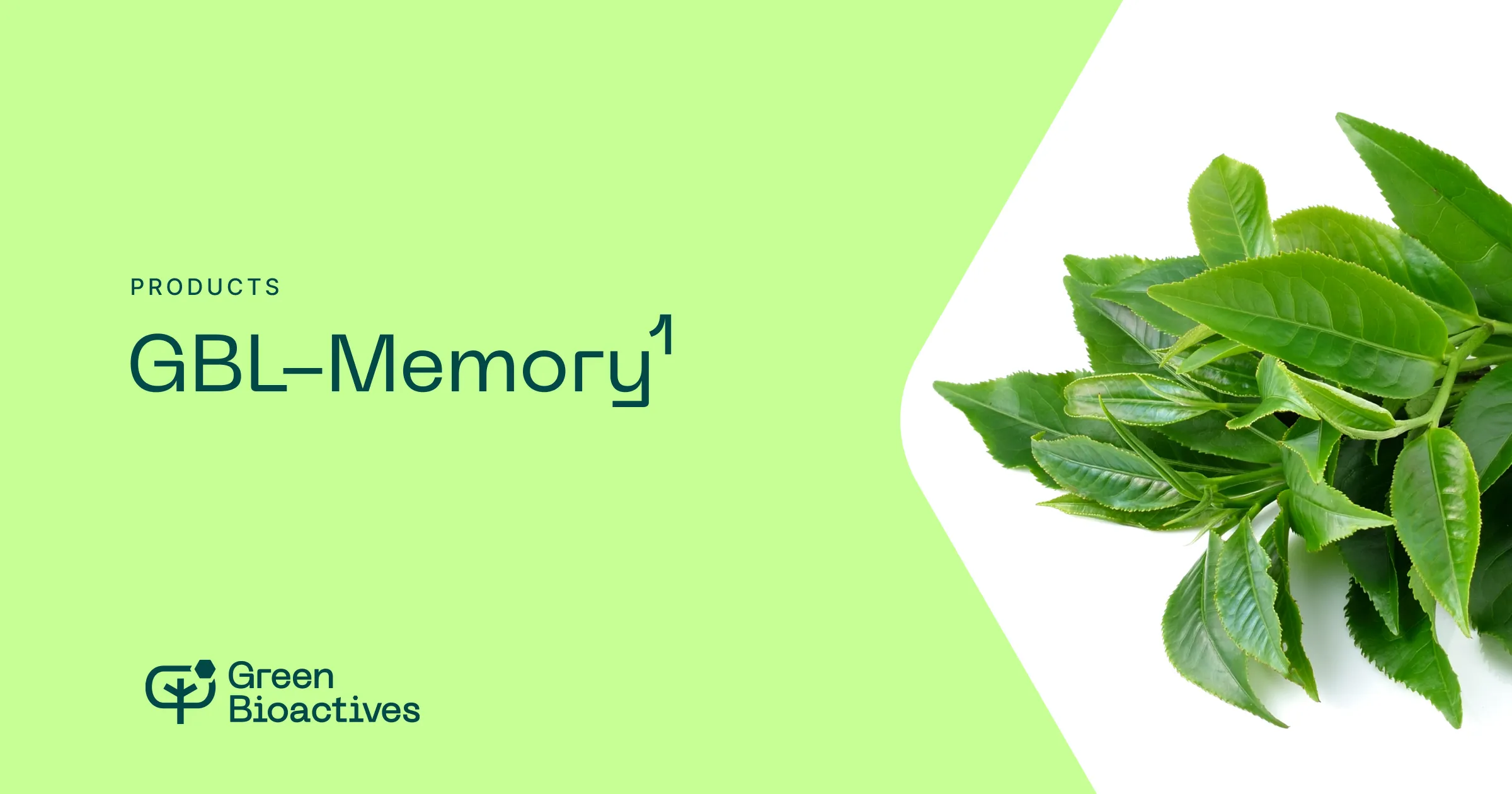 GBL-Memory¹ | Green Bioactives